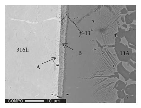 Concentration Profiles From Epma Analysis Of Elements Ti Fe Ni Cr Download Scientific