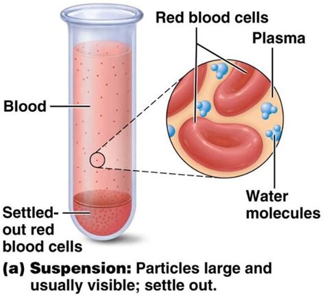 Introduction To Chemistry And Atomic Structure Flashcards Quizlet