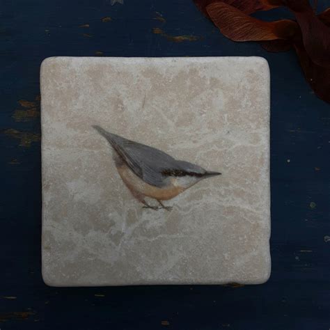 Claire Vaughan Designs Ltd Nature Lovers Homeware Botanic Art And Ts