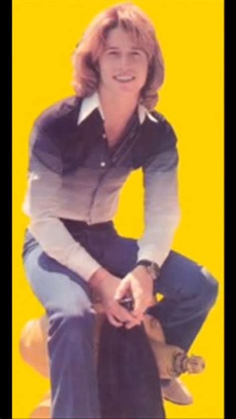 Pin De Terri Em Andy Gibb