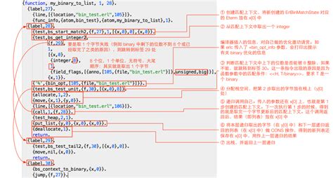 Erlang Binary Siyao