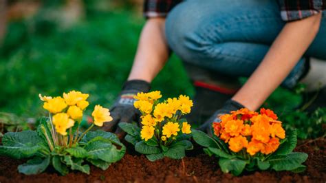 Banish Unwanted Bugs From Your Garden With This Unexpected Toothpaste Hack