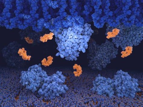 What Nurses Need To Know About Vancomycin