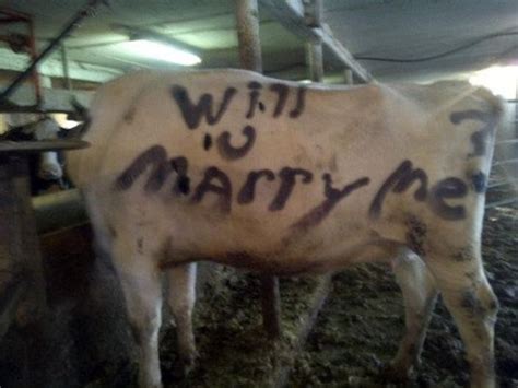 These May Be The Worst Marriage Proposals Ever 23 Pics