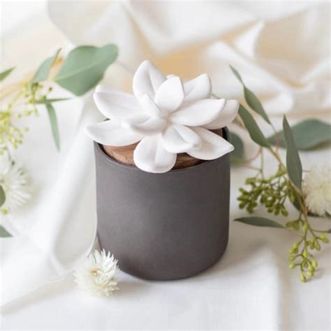 Different Types Of Essential Oil Diffusers Shenzhen Puraeo Biotech Co