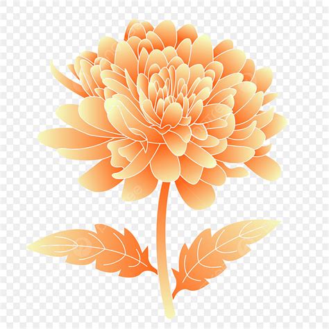 手繪漸變風菊花花卉元素 手繪元素 漸變風 菊花向量圖案素材免費下載，png，eps和ai素材下載 Pngtree