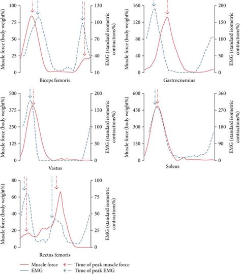 The Force And Emg Of The Biceps Femoris Gastrocnemius Rectus Femoris Download Scientific