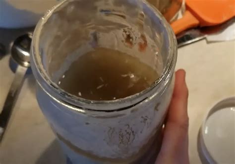 Why Is My Sourdough Starter Separating Getting Your Starter Back On