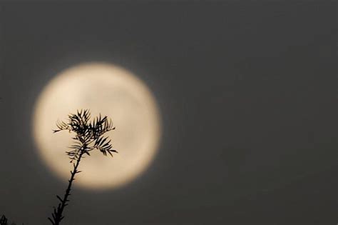 Calendário Lunar 2024 Veja A Data Das Fases Da Lua No Ano Rádio