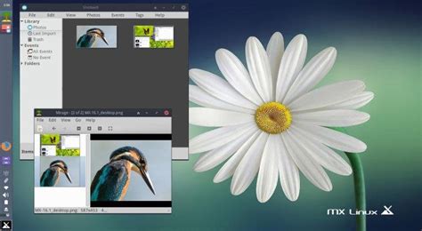 Linux Kernel Filesystem Feud Torvalds Rejects Bcachefs Feature Citing Merge Window Rules