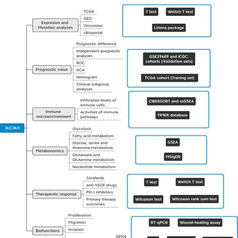 Flow Chart Of Present Study DCA Decision Curve Analysis ROC Download Scientific Diagram
