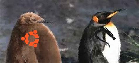 5 причин начать Кали Линукс обучение с нуля Москва Сетевая Академия Cisco Linux Professional