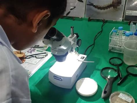 Capacitan A Niños Sobre El Mosquito Aedes Aegypti Una Estrategia Para