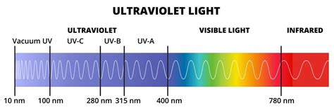 Uva Vs Uvb Vs Uvc Whats The Difference
