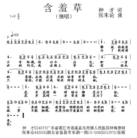 含羞草 歌谱 简谱