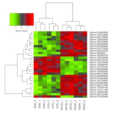 Heatmap Of The Overlap Degs Between Two Time Points 12 And 24 H