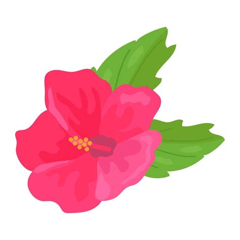 Ilustración De Flor De Hibisco Tropical Planta Exótica Decorativa