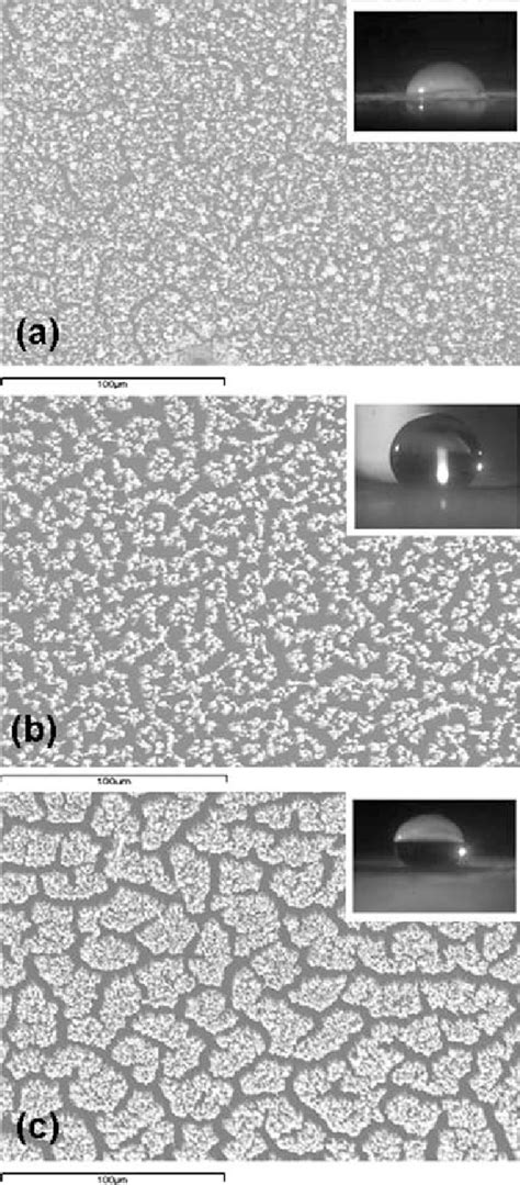 Scanning Electron Micrographs Sem Of The Plan Top View Of Free Download Scientific Diagram