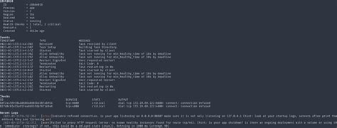 Cant Deploylaunch Application Health Check On Port 8080 Has Failed