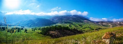 Підгорецький замок фото легенда цікаві факти та історія