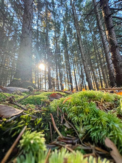 Blog London Automation