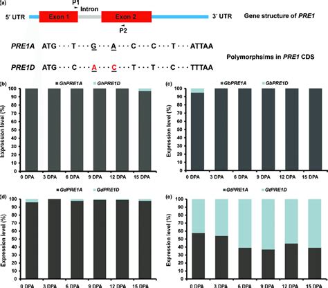 Subgenome Biased Expression Of Paclobutrazol Resistance 1 Pre1 In