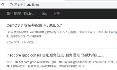 Centos 7 安装 Nginx 配置反向代理 蜗牛丨 博客园