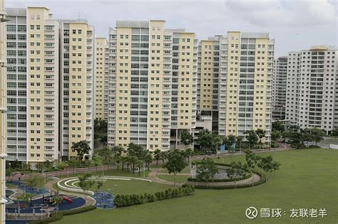 新加坡的政府组屋 新加坡政府组屋 并不是狭小低档房屋的代名词 它科学合理的设计 美观大方的外表 实惠低廉的房价 使 新加坡的 人们不再为买