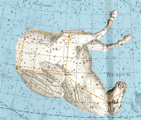 3 February Todays Theme Is Pegasus National Astronomy Week