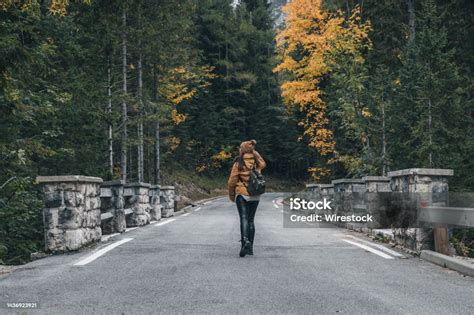 가을에 목가적인 숲을 지나는 텅 빈 길을 걷는 여자의 뒷모습 걷기에 대한 스톡 사진 및 기타 이미지 걷기 사람들 도로 Istock