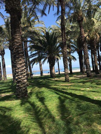 Playa La Carihuela Torremolinos All You Need To Know Before You Go With Photos