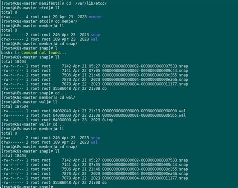 k8s etcd 备份还原 tigergaonotes 博客园