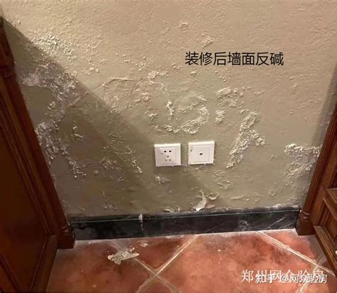 验房小知识 墙面反碱 知乎