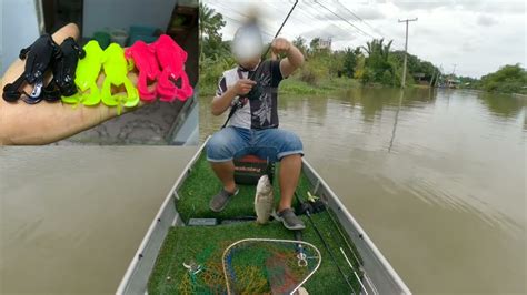 กระสบใหญ ชอบกนเตา Turtle jump YouTube