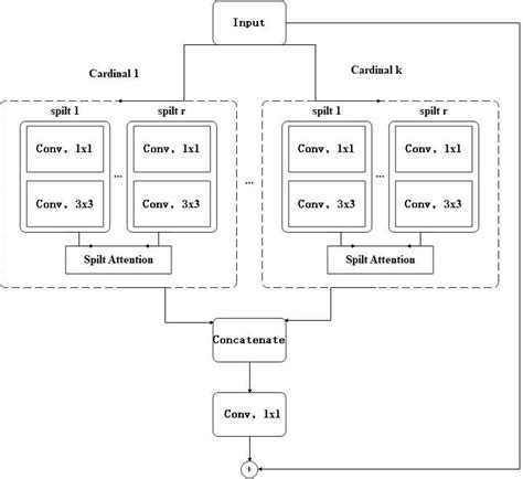 structure of resnest block download scientific diagram