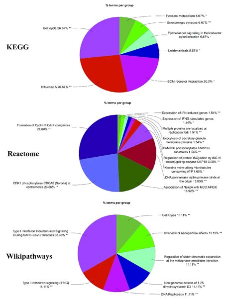 Pathway Enrichment Analysis Observed For Kegg Reactome And