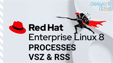 linux processes memory management vsz and rss youtube