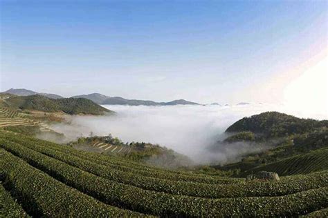 宁波市奉化溪口春秋旅行社有限公司