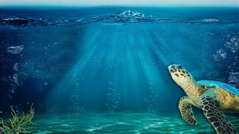 Tipos De Lenguaje De Programacion At Emaze Presentation