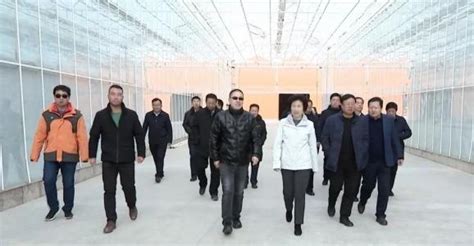 苏君在景泰县调研时强调：编制好“十四五”规划 构建现代产业体系澎湃号·政务澎湃新闻 The Paper