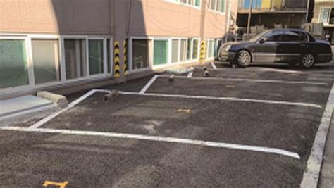 서울시 빈 주차장 개방하는 건물주에게 최대 3천만 원 지원