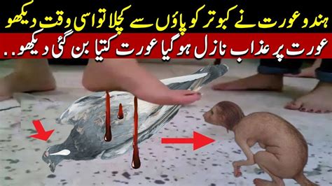Aik Aourat Ko Kabutar Ki Badua Mojza Tv Youtube