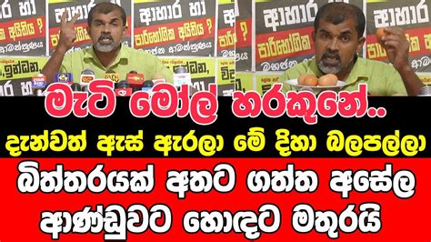 මැටි මෝල් හරකුනේ දැන්වත් ඇස් ඇරලා මේ දිහා බලපල්ලා බිත්තරක් අතට ගත්ත අසේල ආණ්ඩුවට මතුරයි Youtube