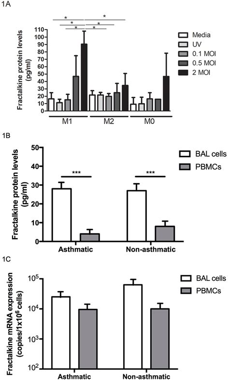 Fractalkine Expression In Vitro By BAL Cells PBMCs And RV16 Infected