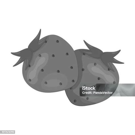 딸기 달 콤 하 고 상큼한 과일입니다 과일 흑백 스타일 벡터 기호 재고 일러스트 웹에서 아이콘을 단일 0명에 대한 스톡 벡터 아트 및 기타 이미지 Istock