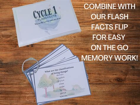 CC Cycle 1 History Memory Work Travel Flashcards Classical Conversations Foundations Digital