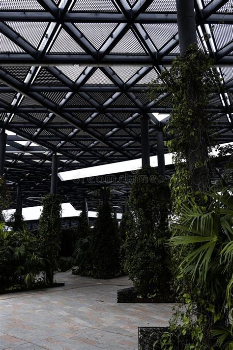 Steel Structure With Triangular Pattern And Climbing Plants Stock Image