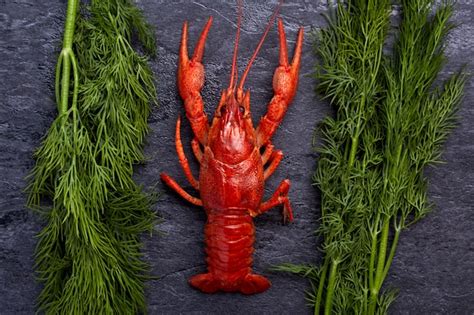 Premium Photo Boiled Cooked Crayfish Crawfish Ready To Eat On Dark