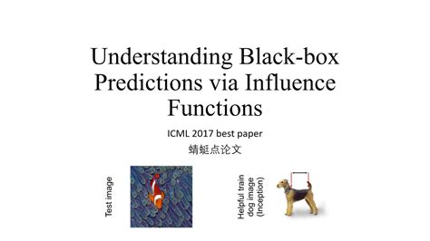 蜻蜓点论文Understanding Black box Predictions via Influence Functions