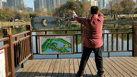 陈式心意混元24式太极拳教学视频体育武术好看视频